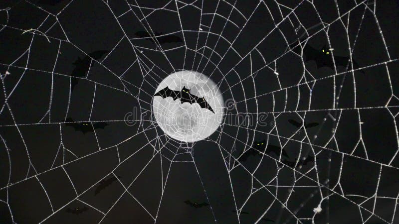 Full Moon in Night Sky and Spider Crawling on Web Stock Footage - Video ...