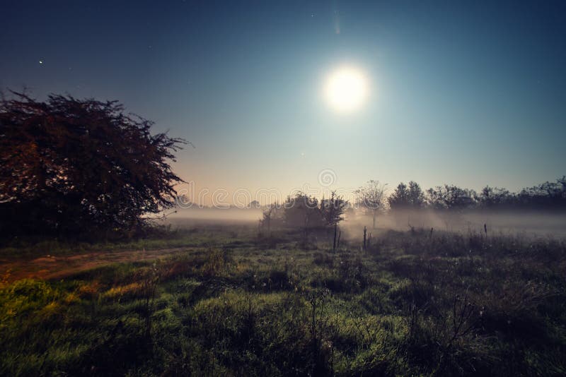 Full Moon, Night View of the Forest Shrouded in Mist Stock Photo ...