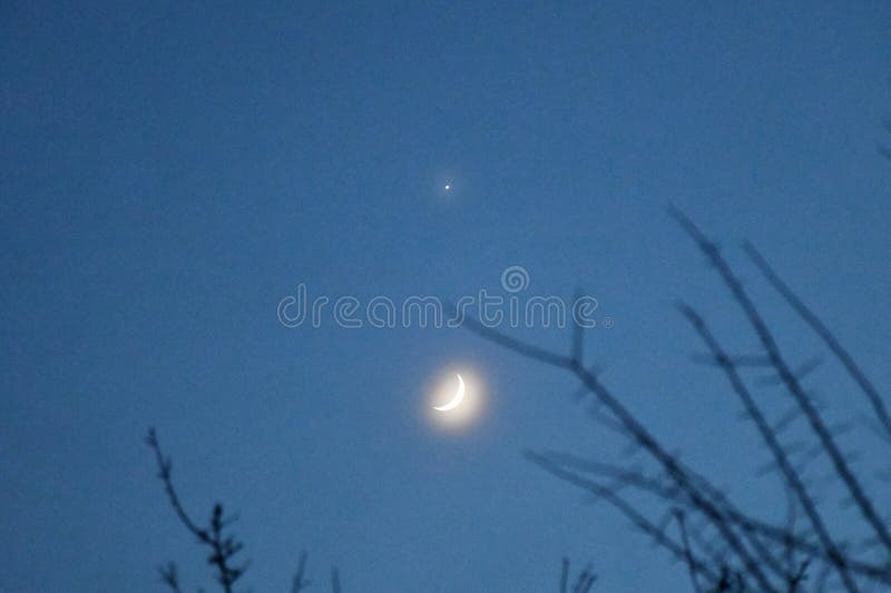 Full Moon Out on a Clear Night Stock Photo - Image of grey, detail ...