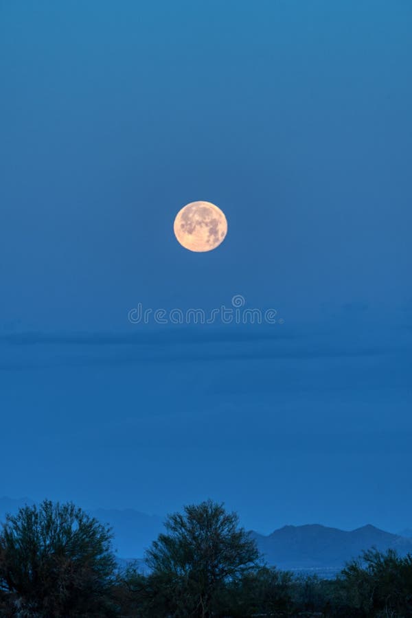 Full Moon Over Arizona Mountains and Trees Stock Photo - Image of ...