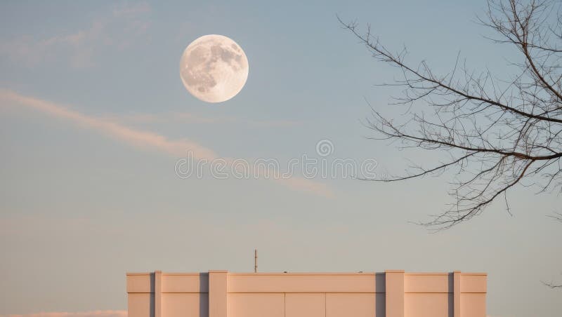 Full Moon Over a Building with a Tree Branch Framing the View. Stock ...