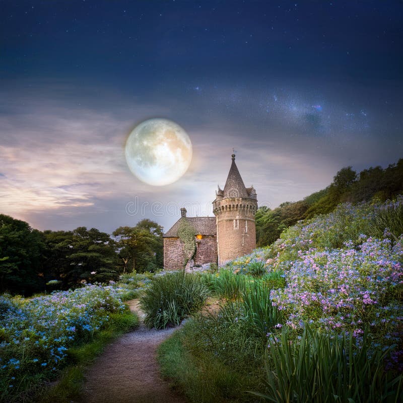Full moon over the castle stock illustration. Illustration of plant ...