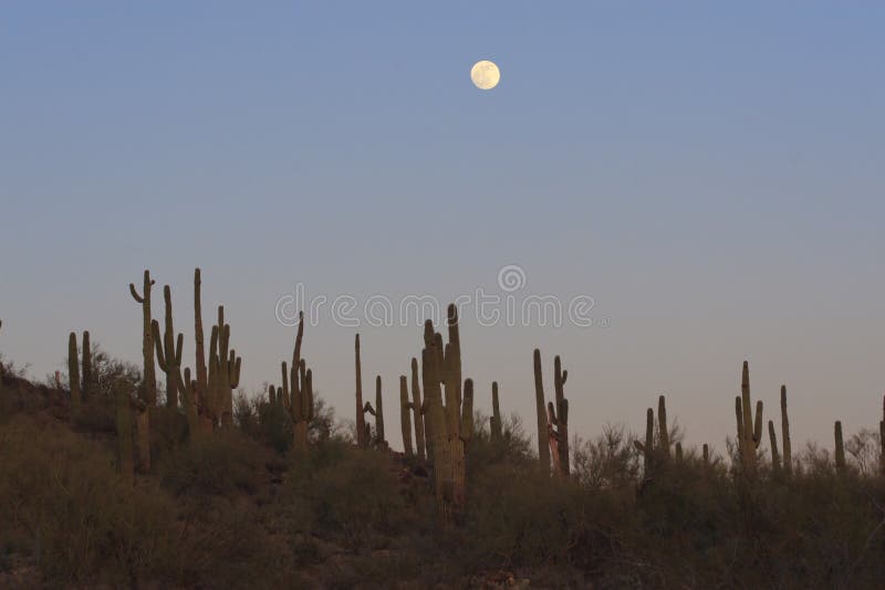 Full moon over desert stock image. Image of landscape - 22740643