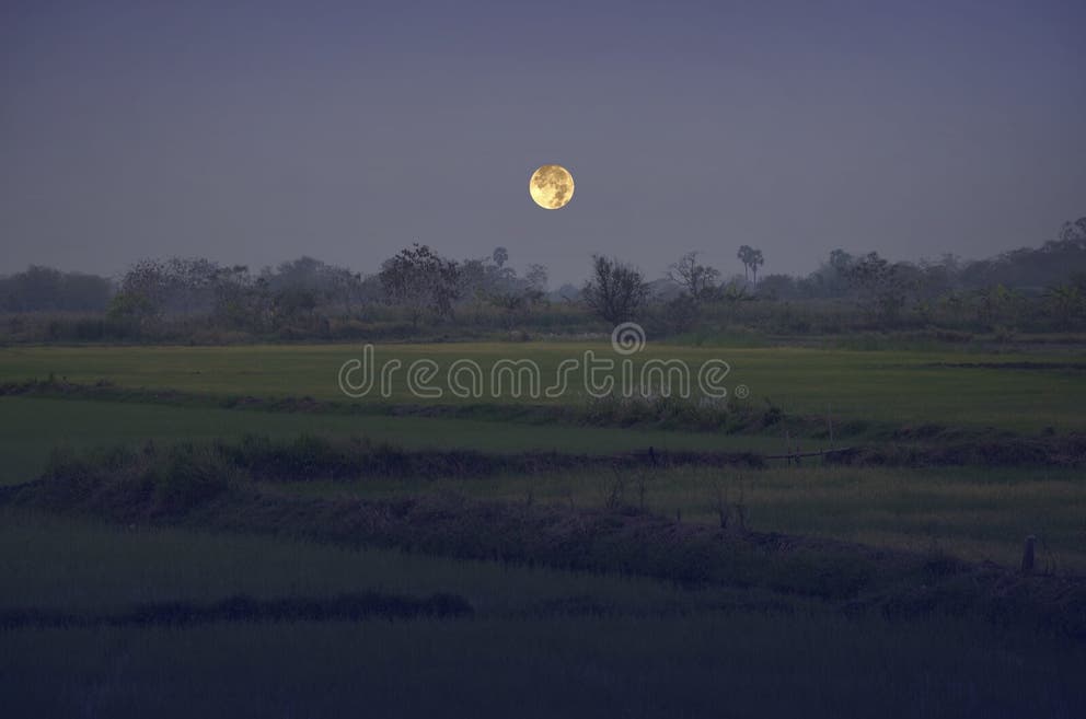 Full Moon Over the Field in the Evening Stock Photo - Image of fantasy ...