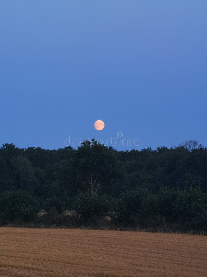 Full moon over the forest stock photo. Image of hill - 226388320