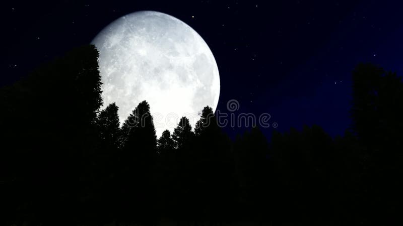 Full Moon Rising Over the Forest Stock Video - Video of moonlight ...