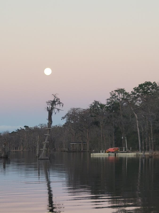 Full Moon Over Lake in Florida Stock Image - Image of river, morning ...