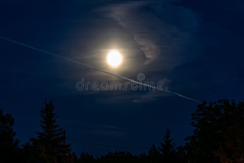 Full Moon Over a Forest at Night Stock Image - Image of romantic, trail ...