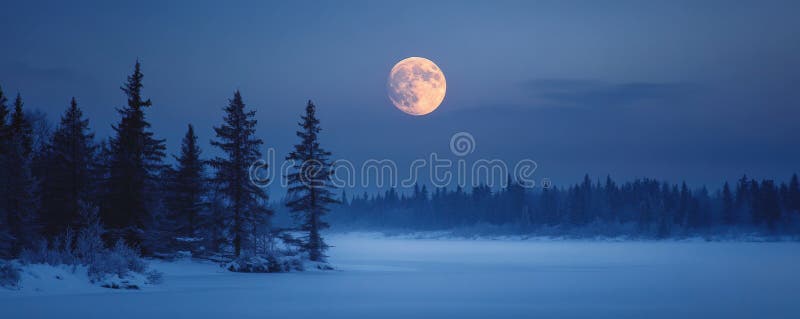 Full Moon Over Snowy Forest Landscape at Night Stock Image - Image of ...