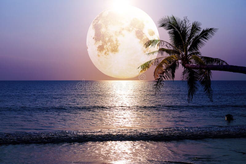 Full Moon Over Tropical Beach Stock Image - Image of moon, peaceful ...