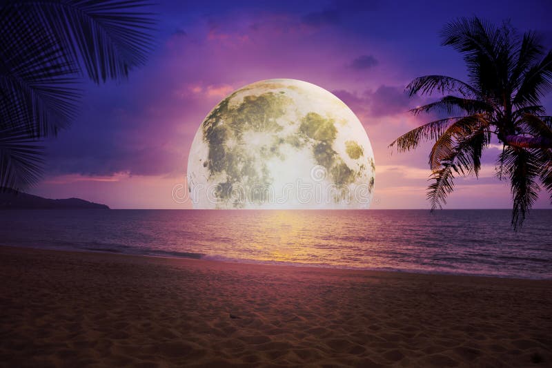 Full Moon Over Tropical Beach Stock Photo - Image of fantasy, palm ...
