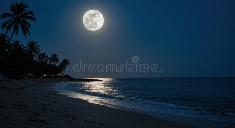 Full Moon Over Tropical Beach at Night Stock Illustration ...