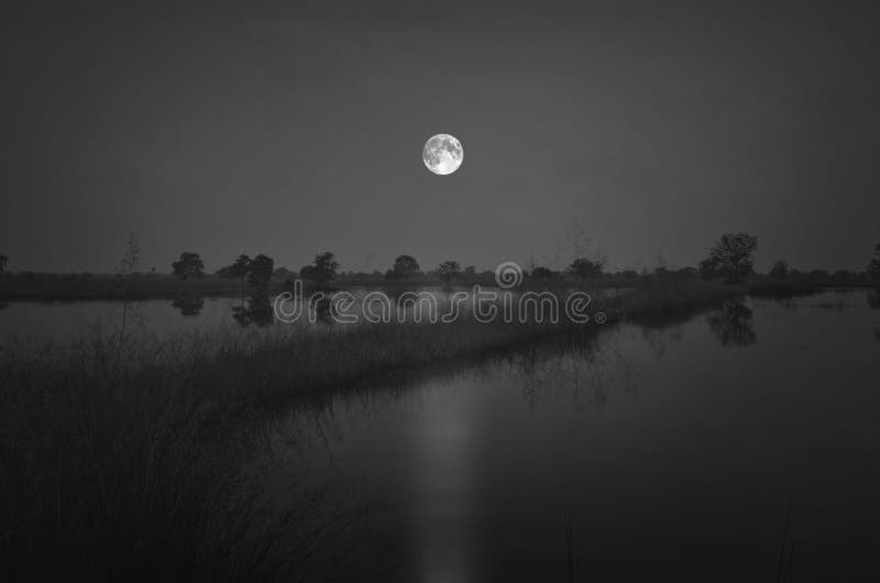 Full Moon Over the Water Field Stock Photo - Image of night, satellite ...