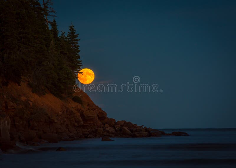 Full Moon Prince Edward Island Stock Image - Image of full, moon: 86954595