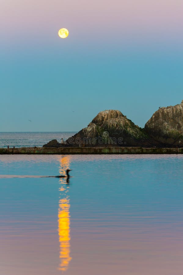 Full Moon Reflecting on Pool on Coast Stock Photo - Image of nature ...