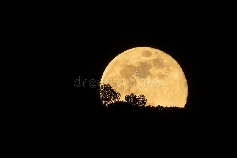 Full Moon Rising Behind a Hill with Trees Stock Photo - Image of clear ...