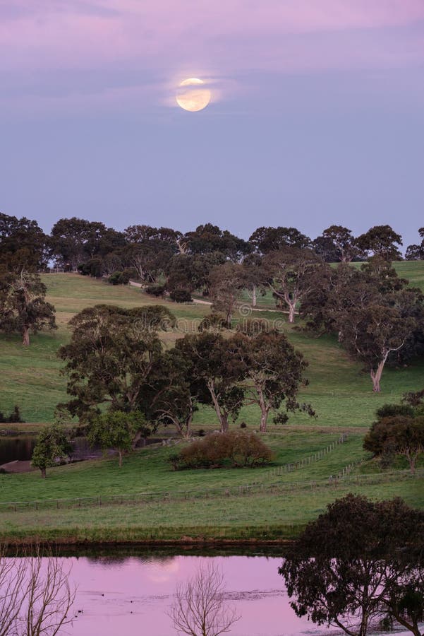 Full moon rising at dusk stock photo. Image of rural - 45398642
