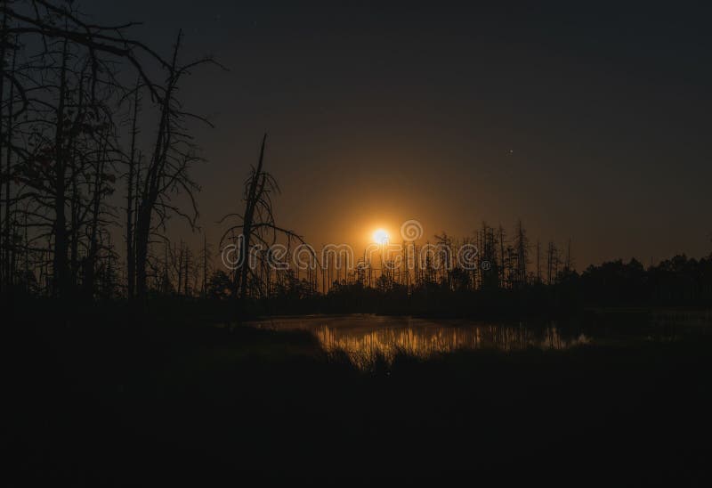 Full Moon Rising Over the Cenas Swamp Stock Image - Image of view ...