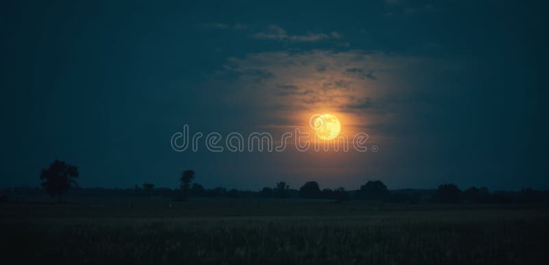 A Full Moon Rising Over a Field of Wheat at Night Stock Illustration ...