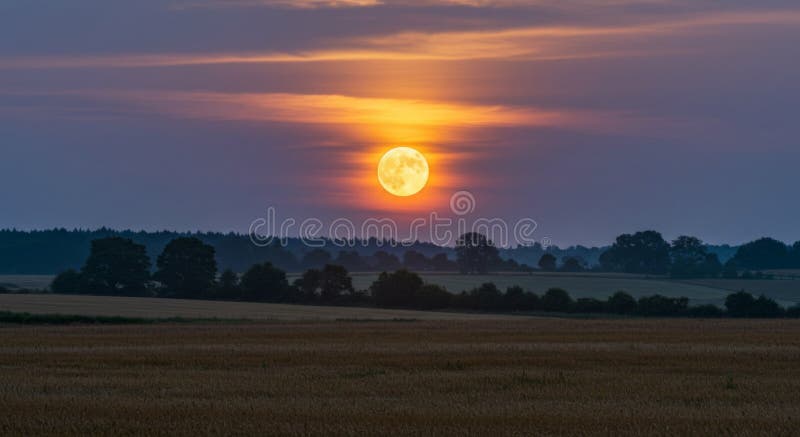 Full Moon Rising Over a Golden Field at Sunset Stock Illustration ...