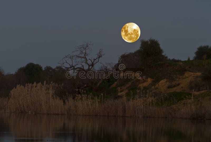 Full Moon Rising Over a Lake Stock Photo - Image of loneliness, emerald ...