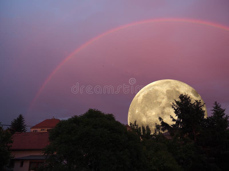 Full Moon Rising Over Trees Stock Image - Image of rising, moon: 176529475