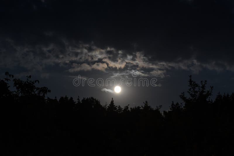 Full Moon Rising in Transylvania at Night in Forest Stock Image - Image ...