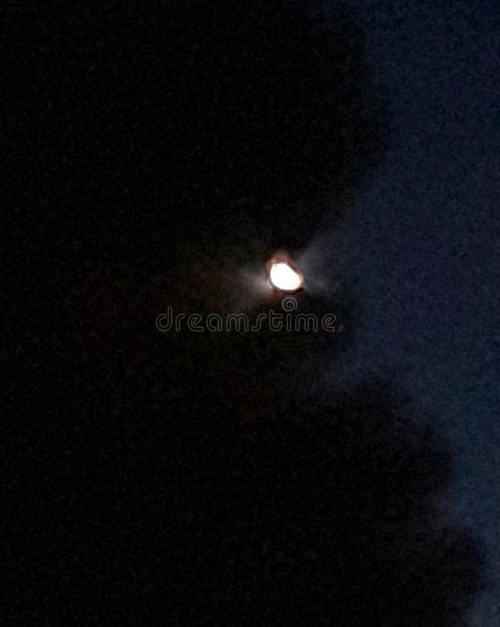 Full Moon Rising among Trees Stock Image - Image of trees, moon: 159050405