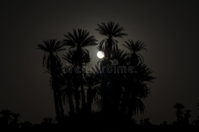 Sahara Moon stock photo. Image of dead, nature, wasteland - 1658442