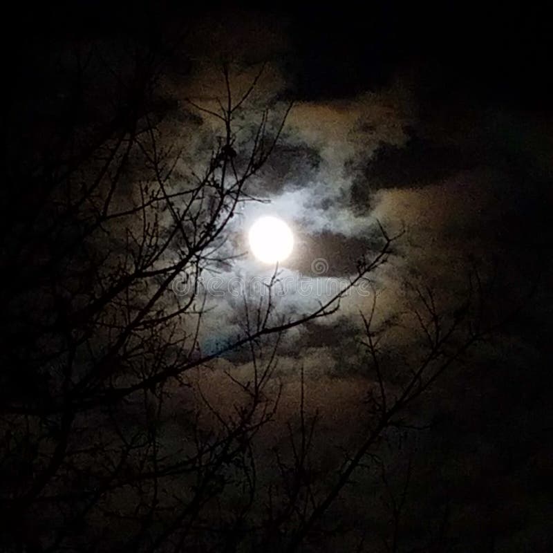 Full moon shadow stock image. Image of night, moon, circle - 99403001