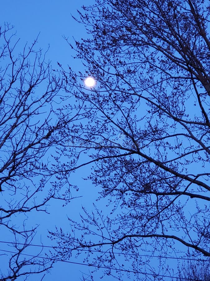 Full Moon Shines Bright at Twilight Stock Photo - Image of fullmoon ...