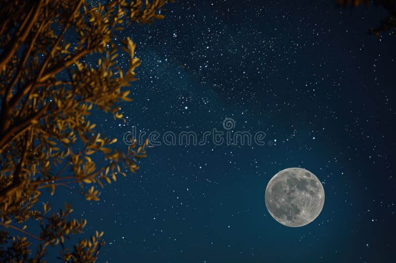 Full Moon Shining Brightly in the Night Sky, Suitable for Various Night ...