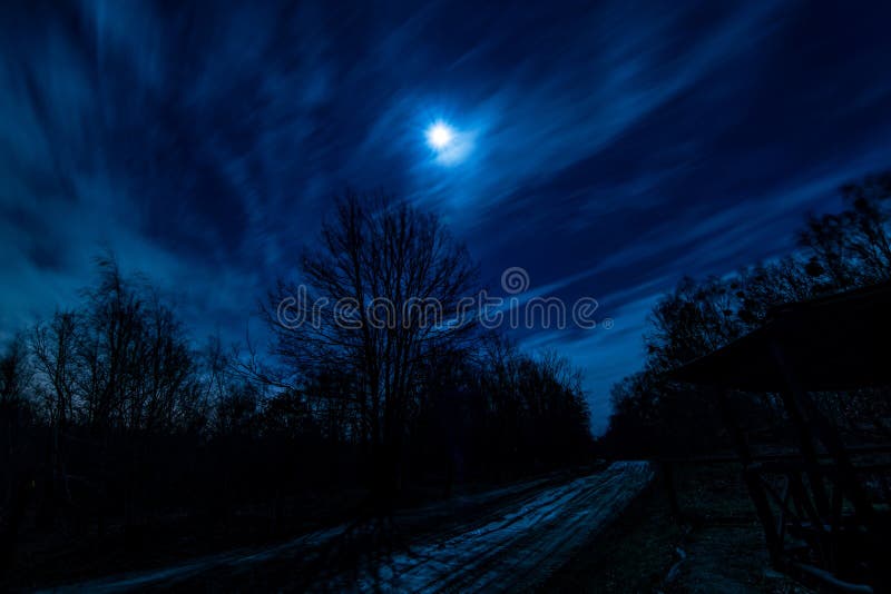 1,505 Full Moon Woods Stock Photos - Free & Royalty-Free Stock Photos ...