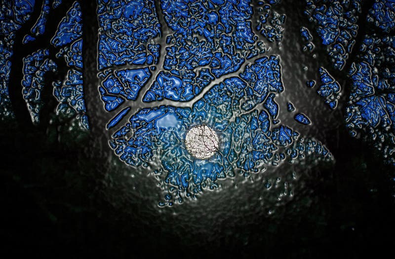 The moon in the forest stock photo. Image of bubblewrap - 375040246