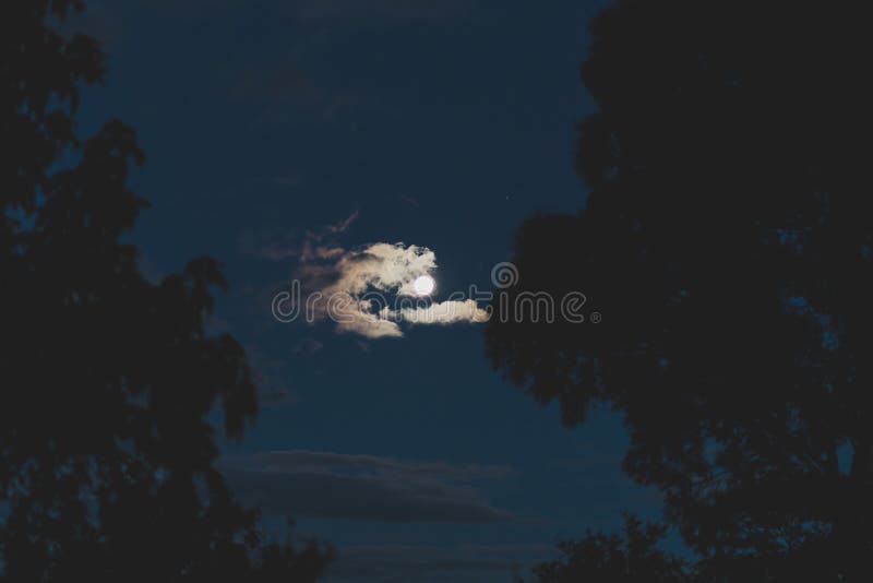 Full Moon with Small Cloud Next To it and Sky Framed by Trees Stock ...