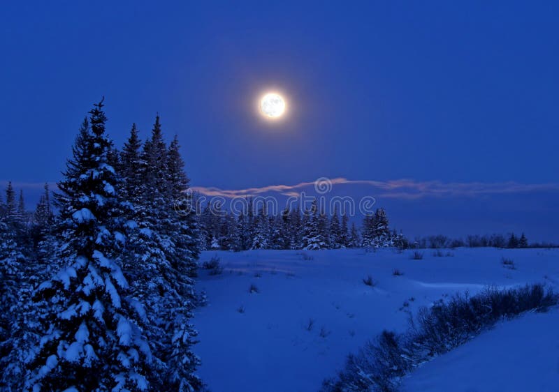 Full moon with snow stock image. Image of spruce, landscape - 22796893