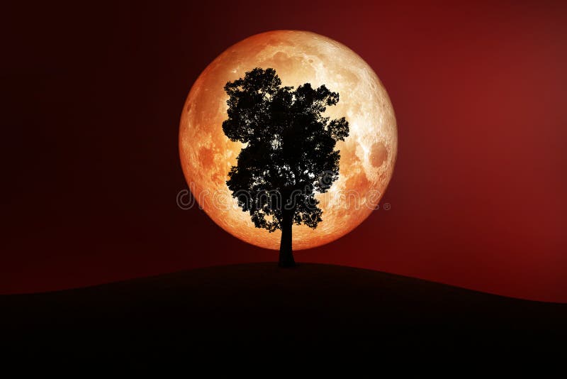 Full Moon in Space with Green Tree on Green Grass Field. Stock Photo ...
