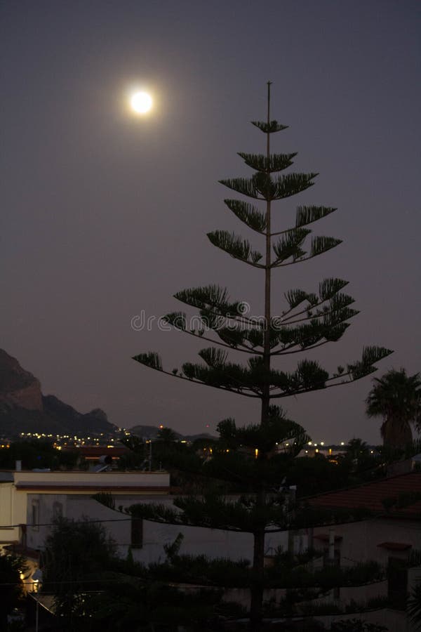 Full Moon at Full Moon at Sunsetnight Stock Photo - Image of phase ...