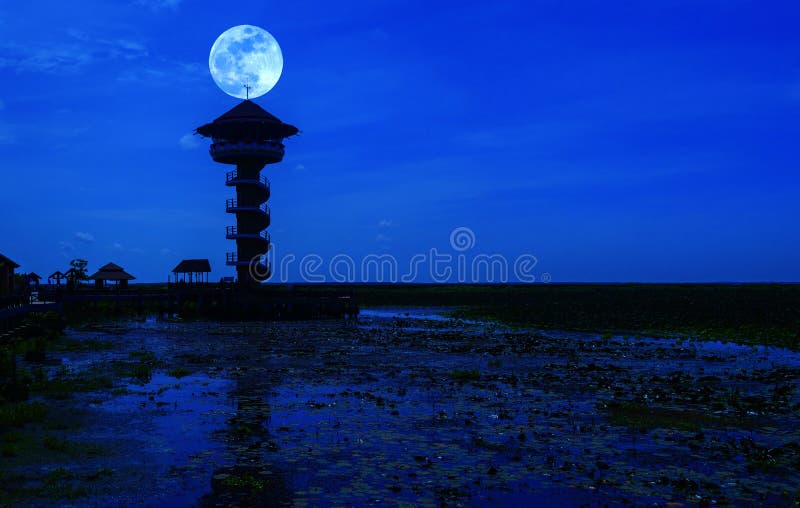 Full moon tower stock image. Image of nature, natural - 89675645