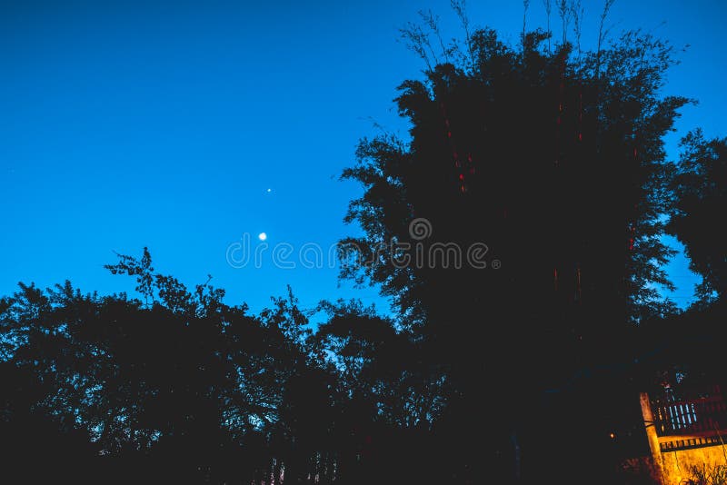 Full Moon and Tree Branches Stock Image - Image of branch, season ...