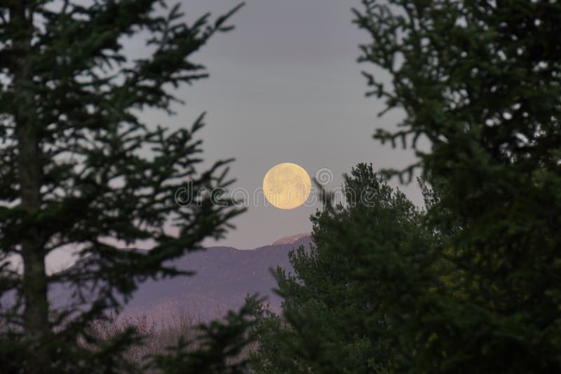 Full Moon with Trees on the Foreground Stock Image - Image of clouds ...