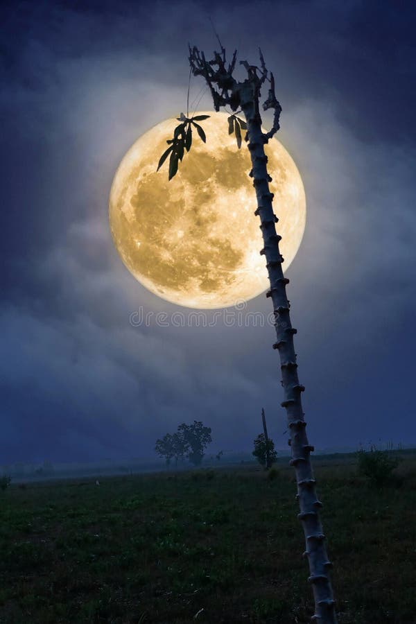 The Full Moon on a Very Beautiful Night Stock Image - Image of night ...