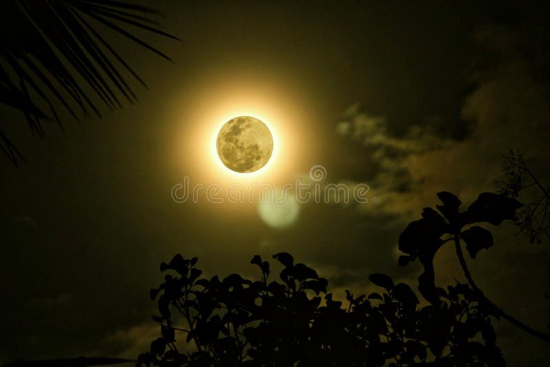 Full Moon View Looking Very Beautiful Stock Photo - Image of reflection ...