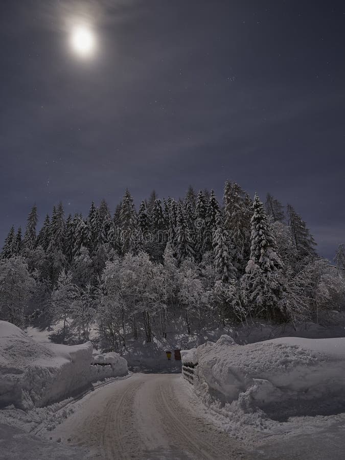 Full Moon Winter Night Fairytale Stock Photo - Image of frost, nature ...