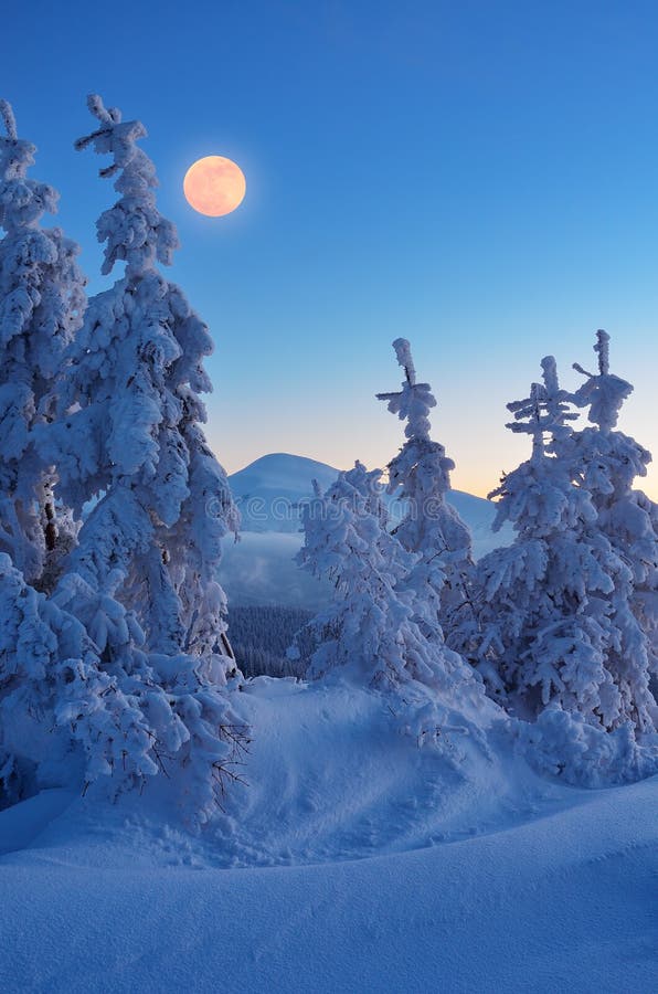 Full moon in winter stock image. Image of frozen, full - 35651355