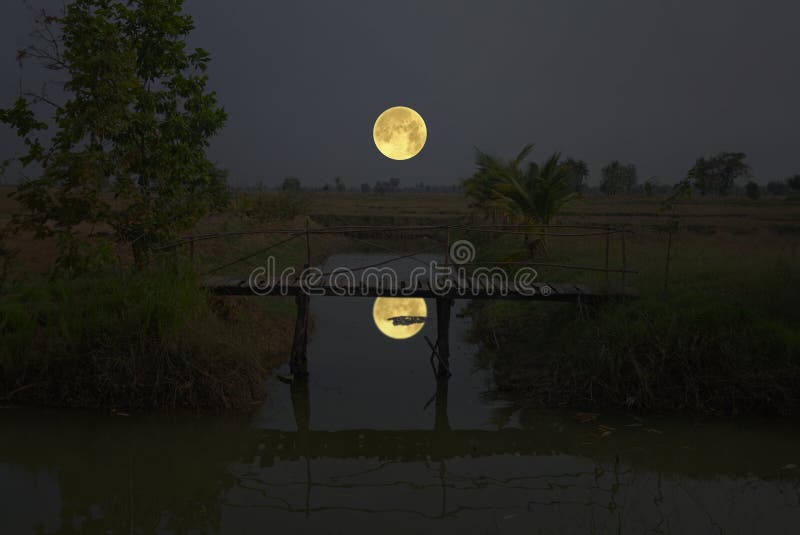 Full Moon and Wooden Bridge for Walking Across the Canal in the Rice ...