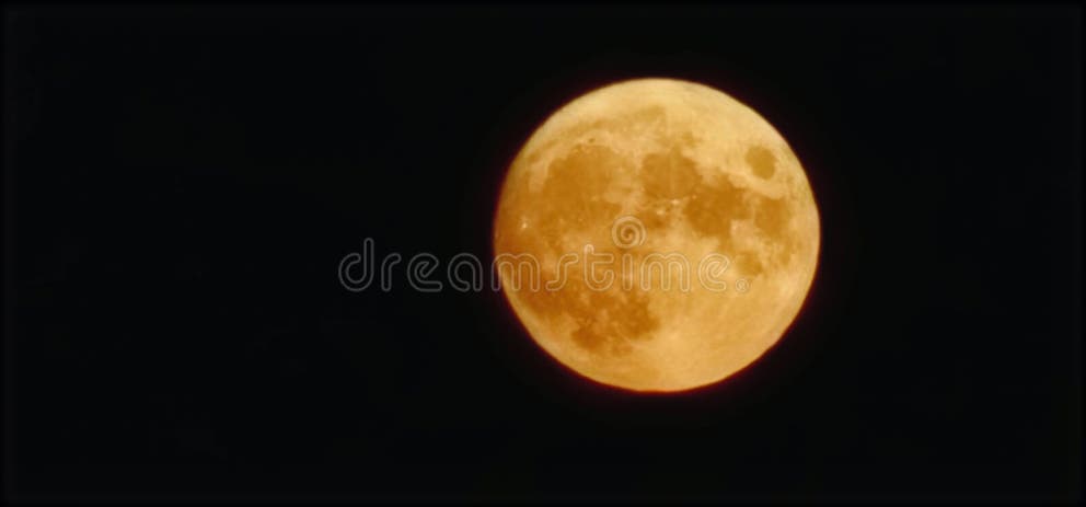 Full moonlight information stock photo. Image of quail - 283038928