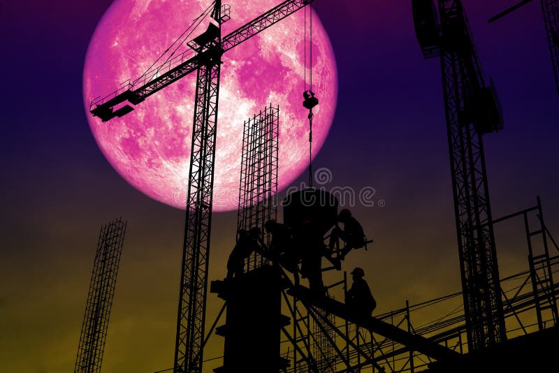 Pink Construction Worker Halloween Costume Stock Photos - Free ...