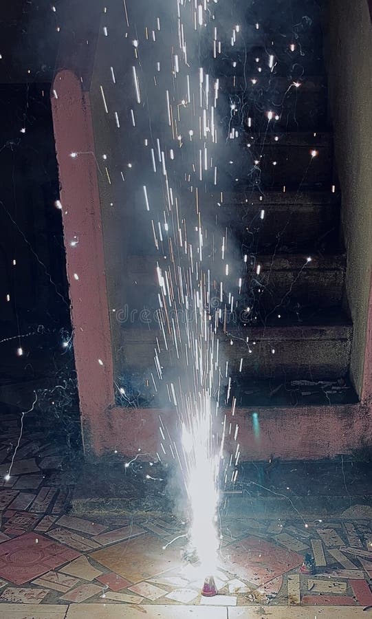 Full Portrait View of Sparkling Flower Pot at Night -Portrait Stock ...