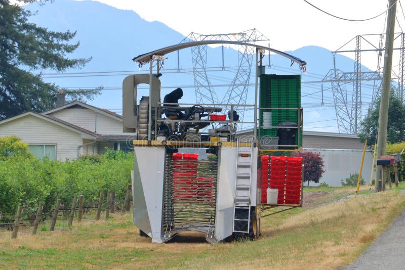 Blueberry Harvester Stock Photos - Free & Royalty-Free Stock Photos ...